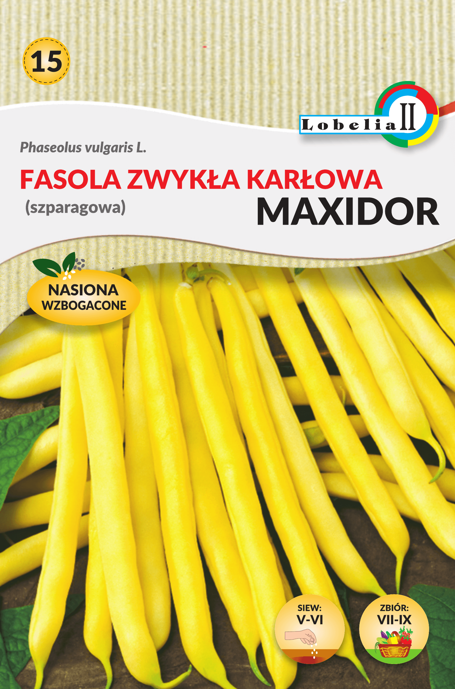 Fasola zwykła karłowa maxidor – Lobelia